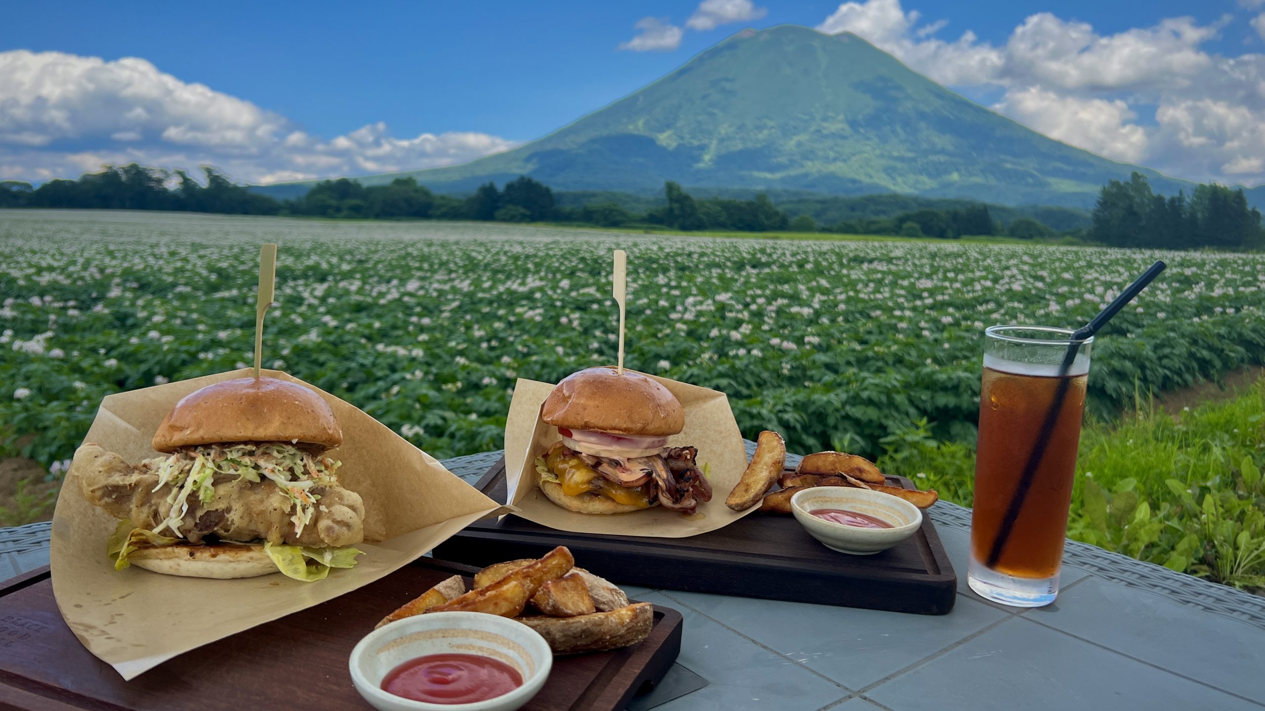 A Culinary Journey Through Niseko: Restaurant and Café Recommendations ...
