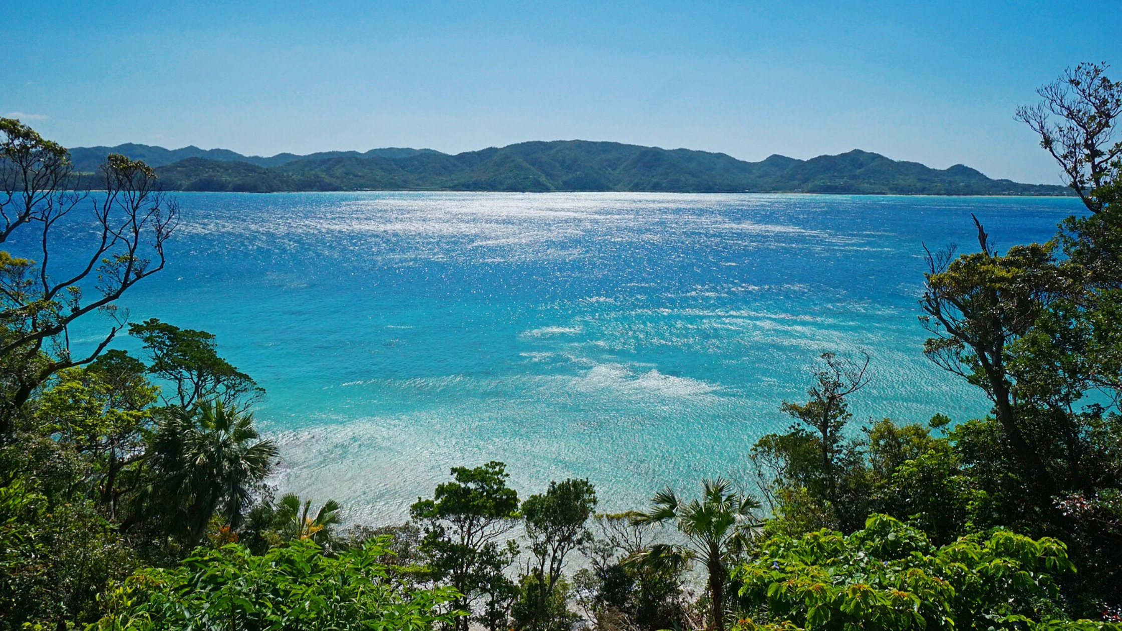 DISCOVERING TRANQUILLITY IN AMAMI OSHIMA: JAPAN’S SUBTROPICAL PARADISE ...