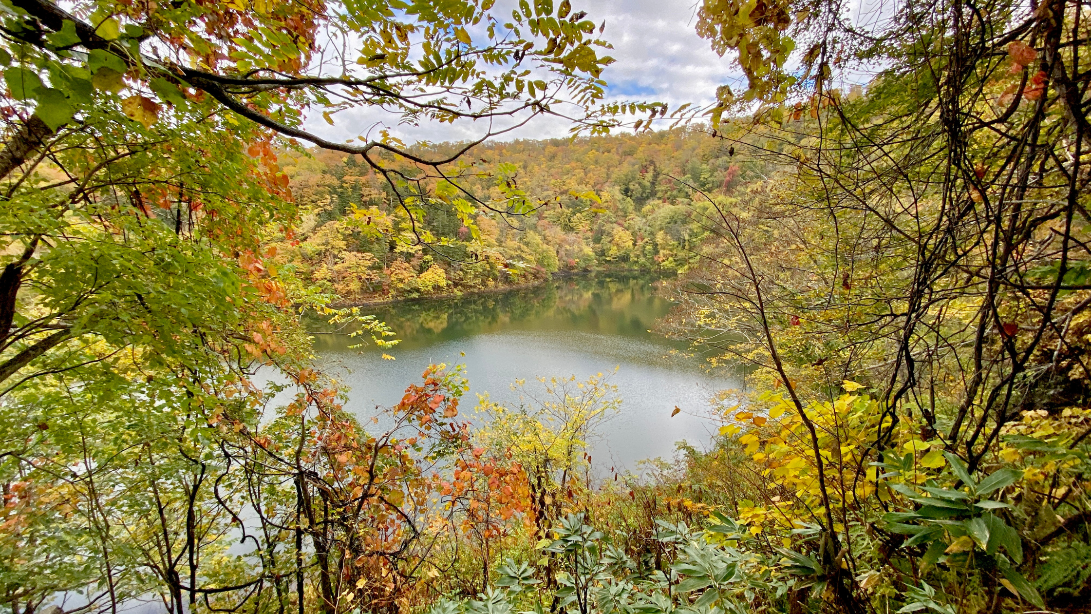 Best Parks and Places to Admire Niseko’s Autumn Leaves - Miru